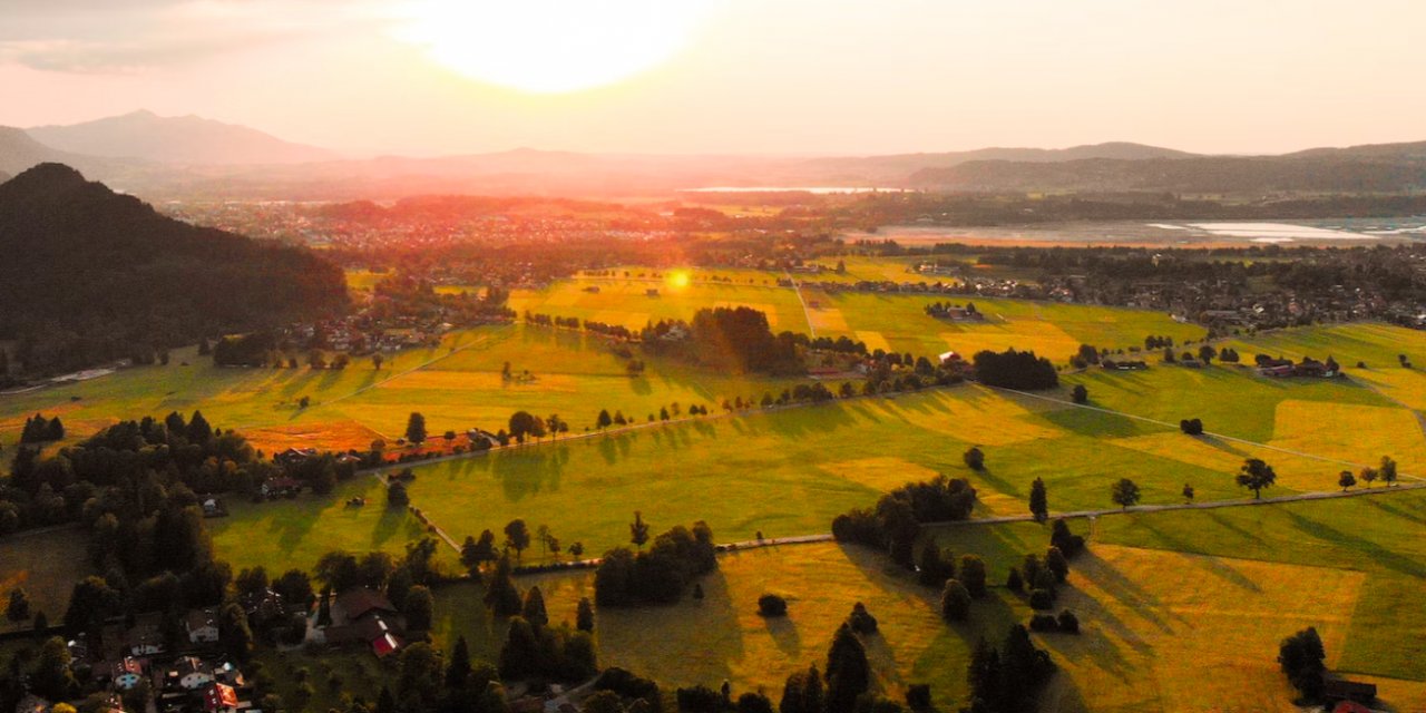 Almanya'nın bitki örtüsü