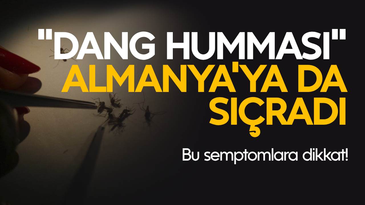 "Dang humması" Almanya'ya da sıçradı